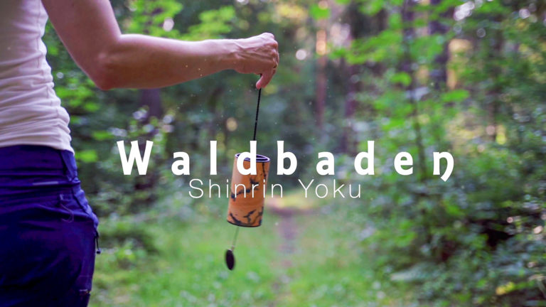 Waldbaden in der sächsischen Schweiz - QUARTIER 5